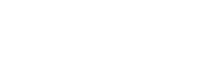 Sofon Corporate Information - Revalize